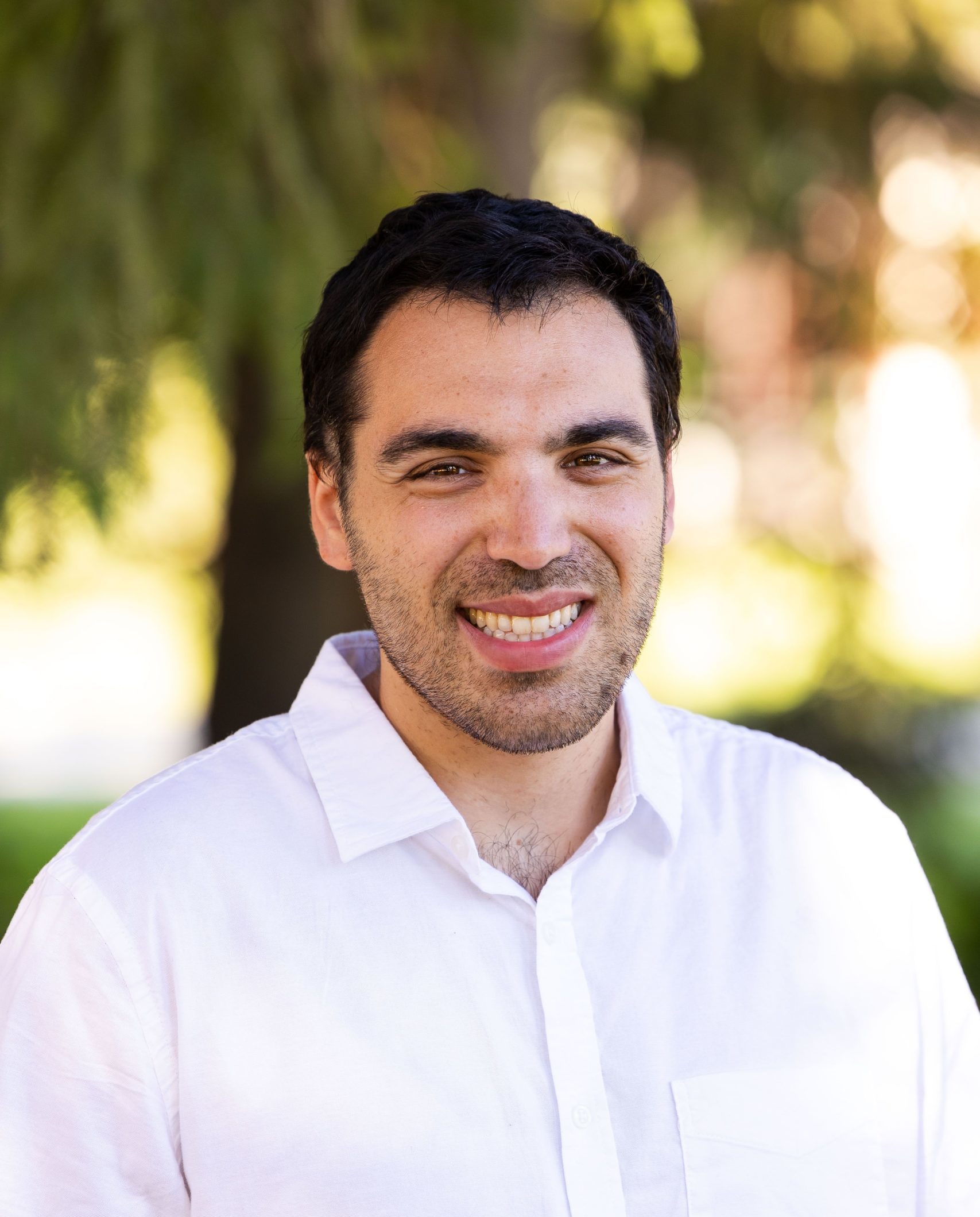 Mem Global | Dan Hammerman