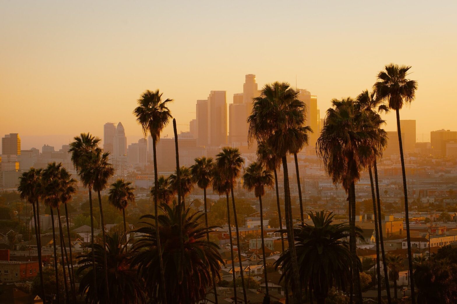 Discover your Jewish home Base | Mem Global